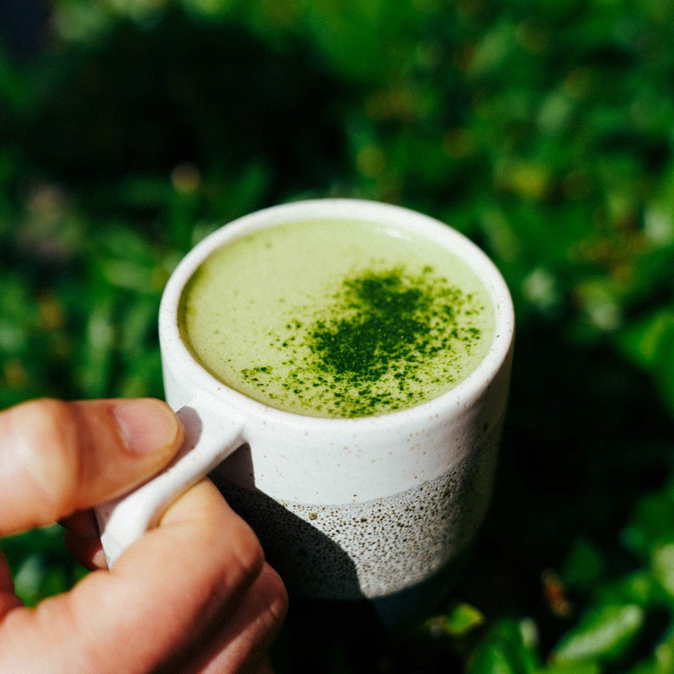 Make Matcha Part of Your Daily Routine – Steep Mountain Tea